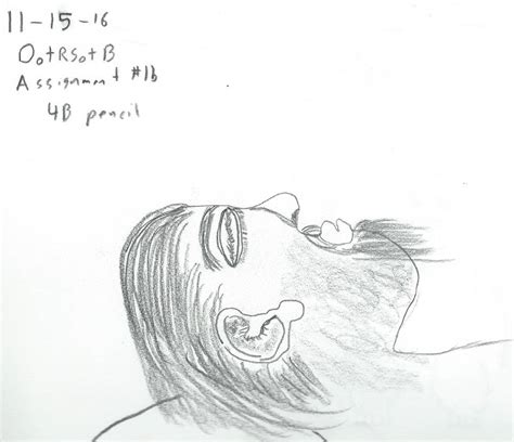 Learning To Draw Assignment 2 By Dglowen On Deviantart