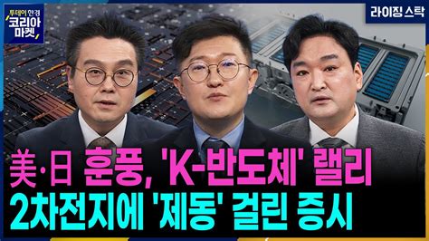라이징스탁 24일 테슬라 실적 발표 후 2차전지 운명은ㅣ엇갈린 반도체와 2차전지 Sk하이닉스 신고가 경신 Youtube