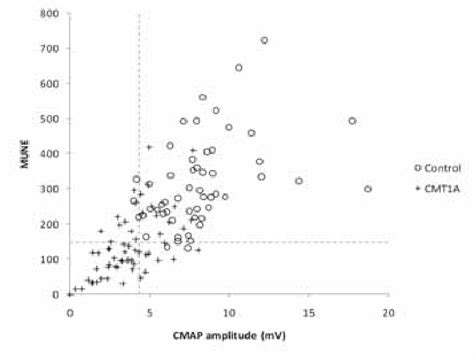 Motor Unit Number Estimate Versus Compound Muscle Action Potential