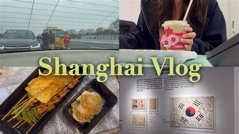 🇰🇷🇨🇳vlog 상하이 직장인 일상vlog 아이허브 추천템 중국간식 출근길 교통사고 당한 외노자 중국병원 Ct찍기 틈틈이 결혼준비👰🏻‍♀️ 건강자취요리장보기