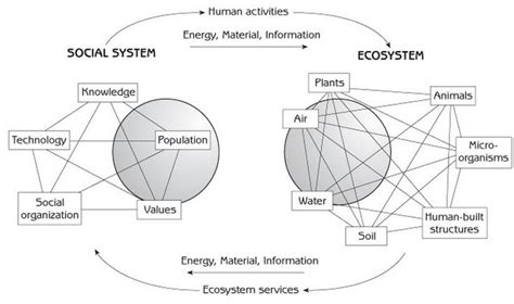 Best Ecosystems Systems Thinking Images On Pinterest Agriculture