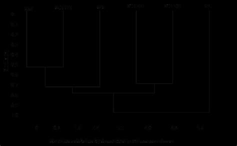 6 Clustering Of Fluorescent Pseudomonas Strains Based On Their Download Scientific Diagram