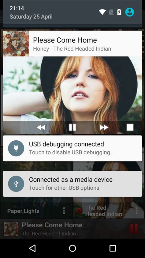 Playerpro Red Fusion Skin Apk For Android Download