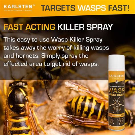 Buy Wasp Nest Killer And Removal Spray In Uk Karlsten