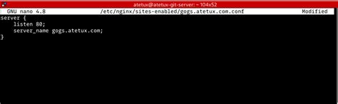How To Install Gogs Git Server On Ubuntu 2004 Atetux