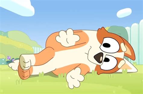 I Just Realised That Bluey Never Asked Chilli What Brandy Actually