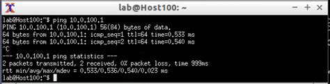 Setting Up A Virtual Lab Topology With Juniper Vsrx Netprobe