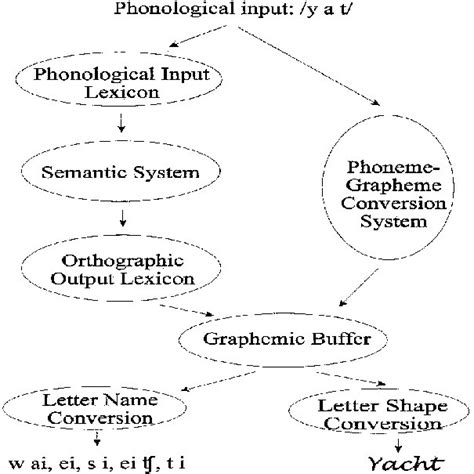 pdf the integration of information across lexical and sublexical
