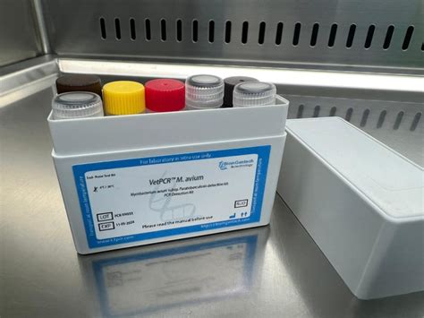 Mycobacterium Avium Subsp Paratuberculosis Detection Kits Pcr Kit