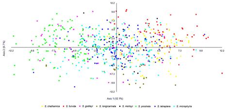 Genetic Clustering Based On A Principal Coordinates Analysis Using The