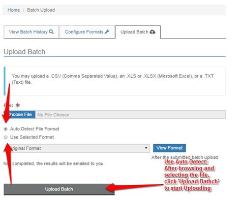 How To Do A Batch Upload