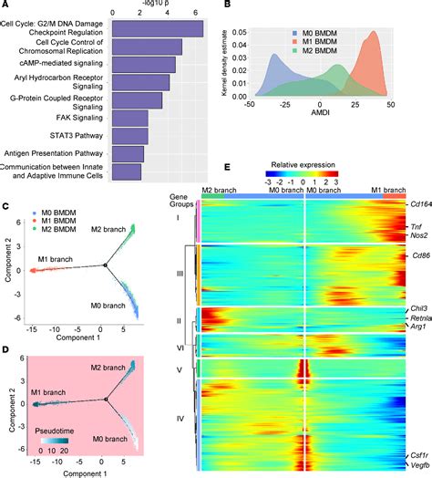 Figure 4 From Single Cell Transcriptomics Based Macspectrum Reveals Novel Macrophage Activation