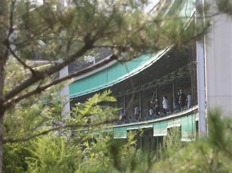 세종필드골프센터 세종골프연습장 내돈내산 네이버 블로그