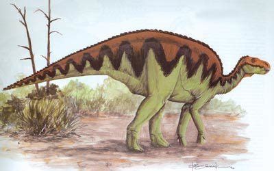 Bactrosaurus Alchetron The Free Social Encyclopedia