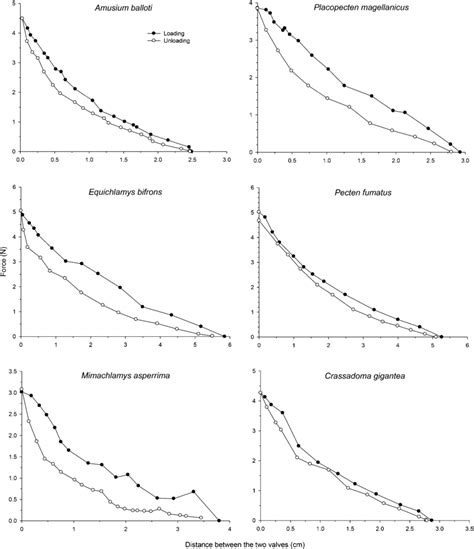 Example Of Typical Hysteresis Loops For Each Experimental Species