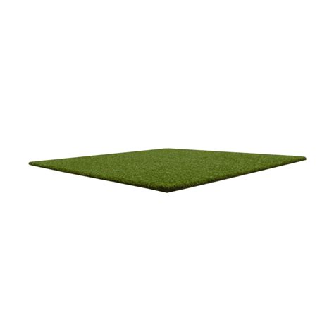 Pro Putt Artificial Grass Talasey