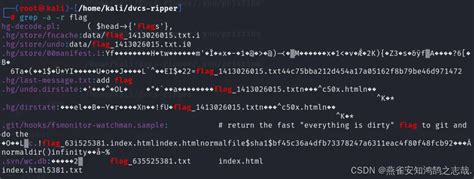 Ctfhub:信息泄露所有题目ctfhub题目 Csdn博客 Ctfhub:信息泄露所有题目ctfhub题目 Csdn博客