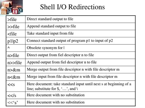 Ppt Lecture 8 Shell Powerpoint Presentation Free Download Id5879746