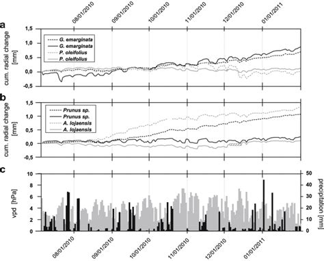 3 Stem Radial Growth Of Four Tree Species And The Course Of Climatic Download Scientific