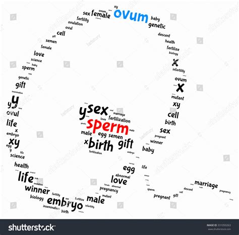 Illustration Sex Education Concept Modern Word Stock Illustration 331050263 Shutterstock