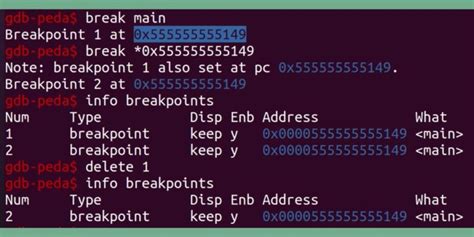 How To Delete A Breakpoint In Gdb A Step By Step Guide Navthemes