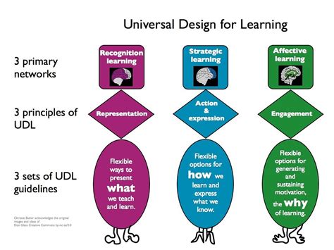 Principles Of Universal Design For Learning Guidelines At May Myers Blog