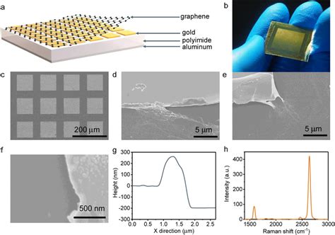 Monolayer Graphene Coated Thz Metamaterial Device A Schematic Of
