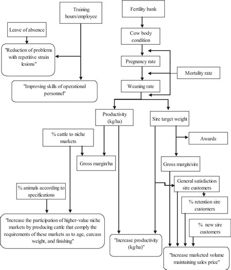 Figure 1 From Implementation Of A Performance Indicators System In A Beef Cattle Company