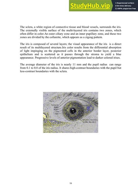 A Project Report On Iris Recognition System Using Matlab Pdf