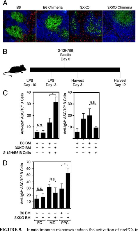 Figure From Dendritic Cells And Macrophages Tolerance In The Absence Of Regulation By