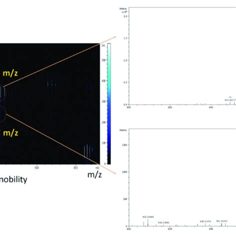Heat Map Visualization Of Ion Mobility The Peptide Ions Of Two