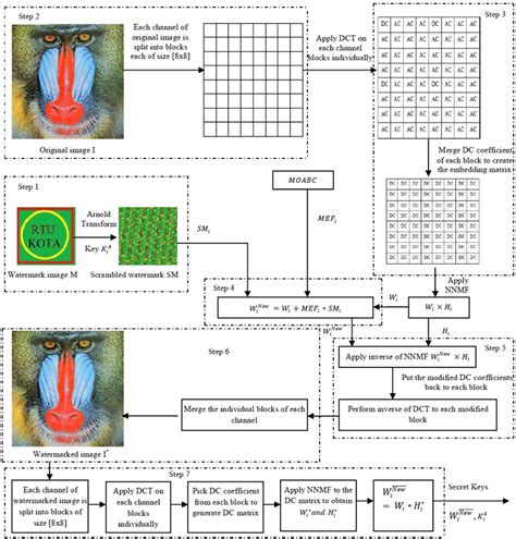 Proposed Dct Nnmf Moabc Embedding Process Download Scientific Diagram