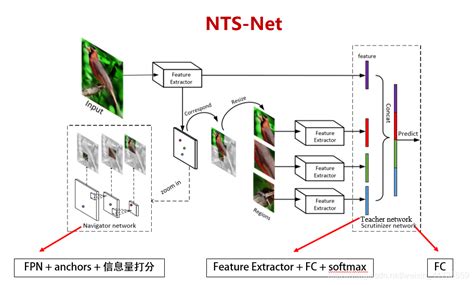 nts net csdn博客