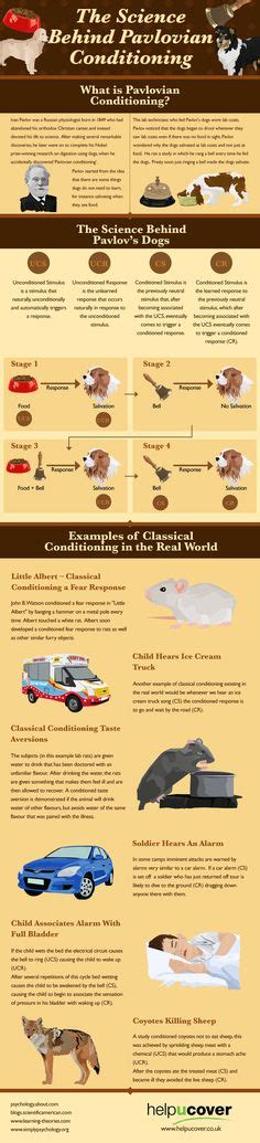 170 Bcba Ideas Bcba Behavior Analysis Applied Behavior Analysis