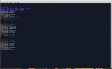 Homework 3 Command Line Terminal In LinuX Davidcamoin