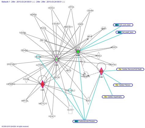 Ipa Results At 24 H Post Stroke By The Ipa Analysis One Can See That Download Scientific