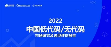 2022中国低代码 无代码市场研究及选型评估报告（一） 海比 杨小天 益韩