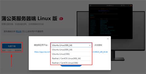 linux服务器端使用教程 贝锐官网