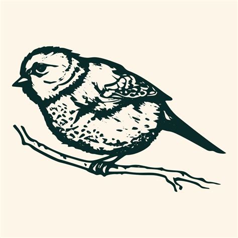 Premium Vector Vintage Bird Sketch Ornithology Vector Illustration