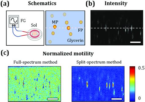Validation Of The Advantage Of The Split Spectrum Temporal Dynamics