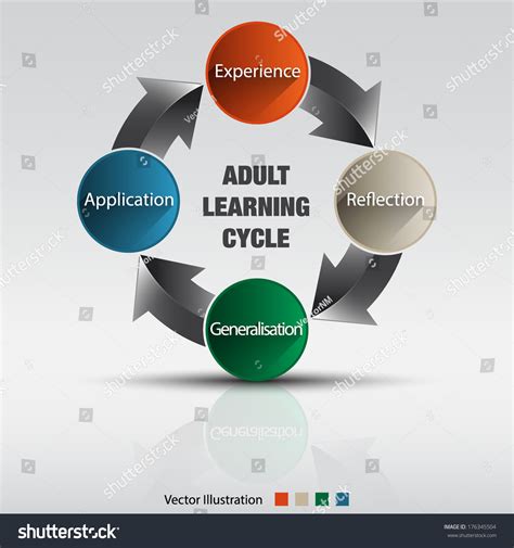 Adult Learning Cycle Vector Illustration Stock Vector Royalty Free 176345504 Shutterstock