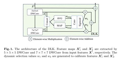 复旦大学提出d Net Transformer中融合动态大卷积核and动态特征融合模块，让分割效果骤升 极市开发者社区