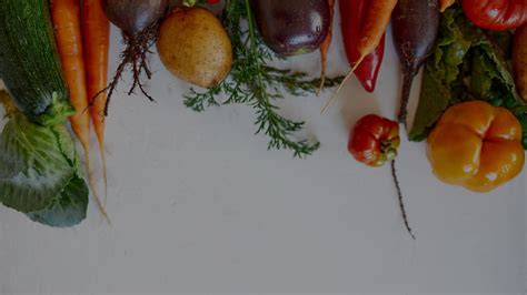 Trichoderma An Important Aid For Plants Msbiotech Green Biotechnology