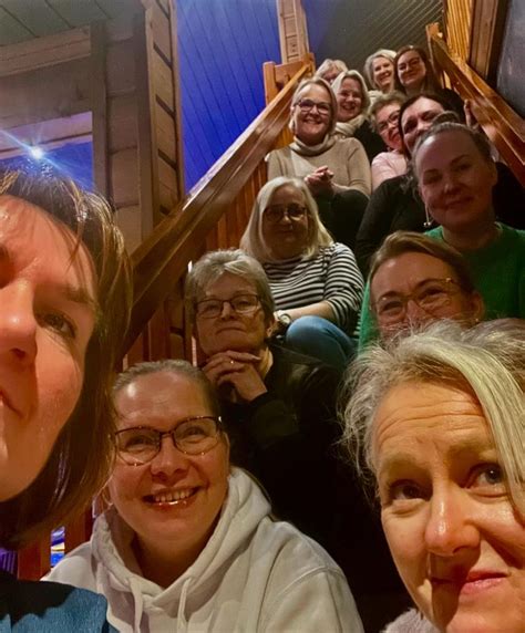 Neela Säily Moilanen On Linkedin Memehiläiset