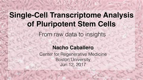 Single Cell Transcriptome Analysis Of Pluripotent Stem Cells Ppt