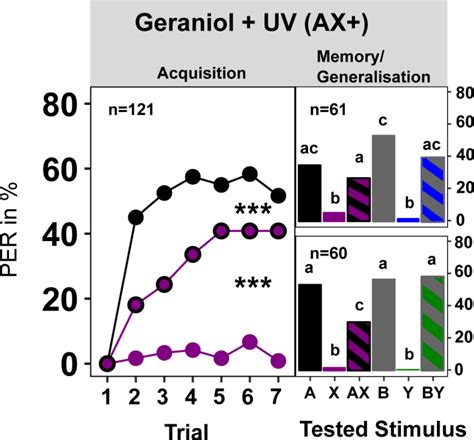 Acquisition Trials And Memorygeneralisation Tests In Positive