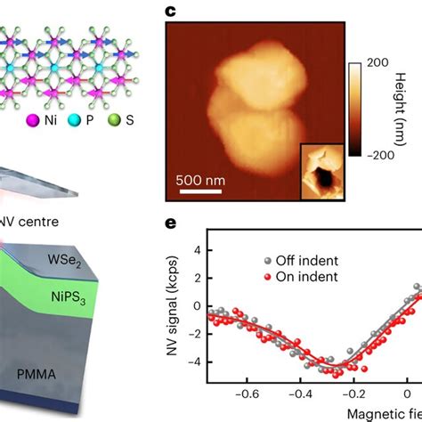 Correlation Of Chiral Quantum Light Emission With Local Download