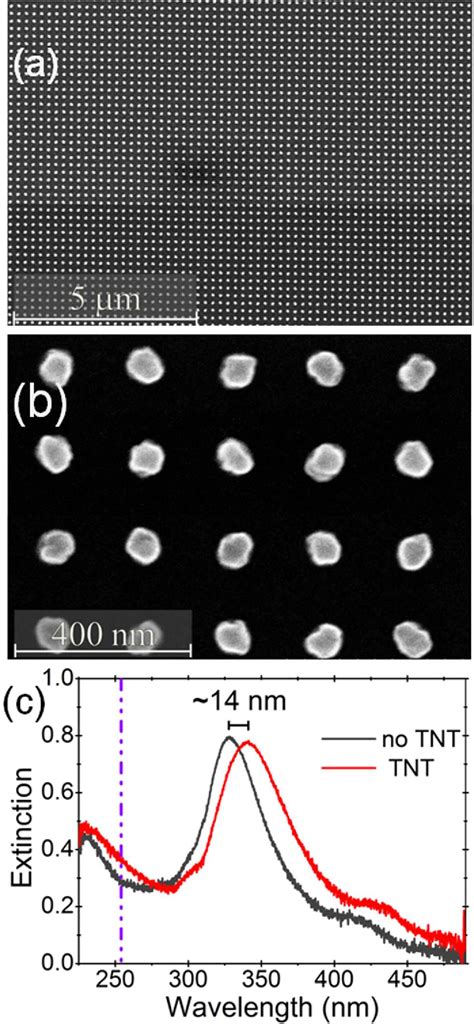 Figure 1 From Towards Deep Uv Surface Enhanced Resonance Raman