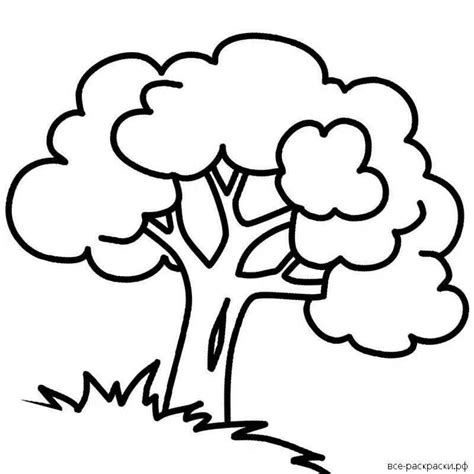 Раскраски Деревья И Кустарники 70 фото
