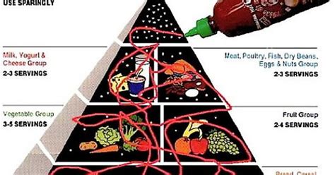My Food Pyramid Imgur